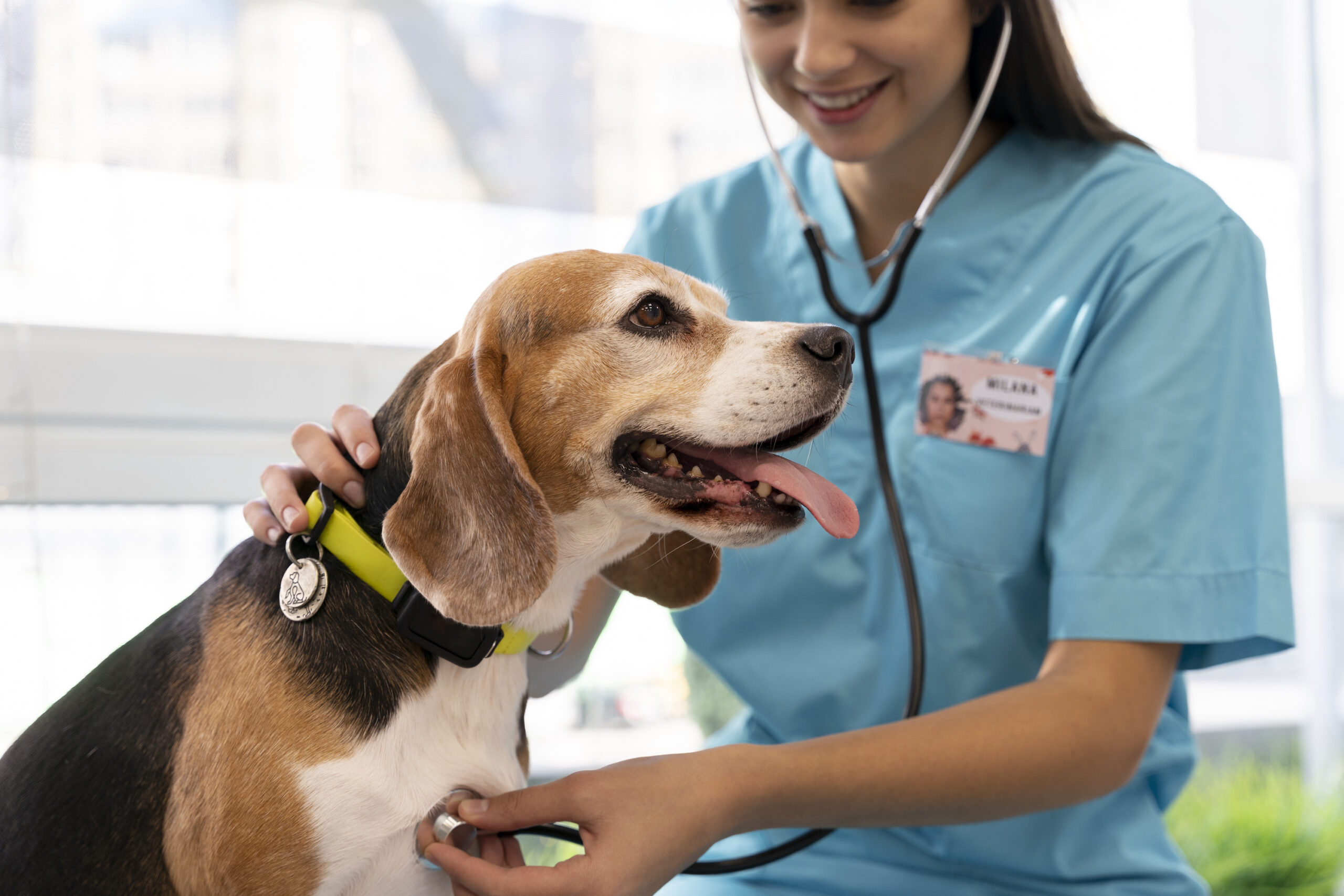 Personal Loan For Pet Care: Finance Veterinary Expenses Instantly