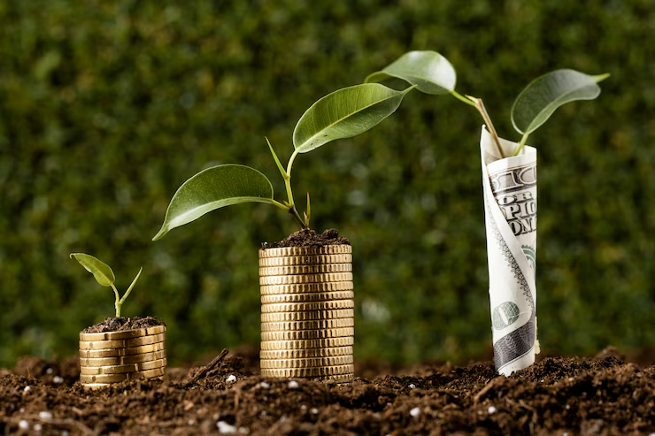 Fixed Deposit Interest Calculation Formula: Know Your Returns