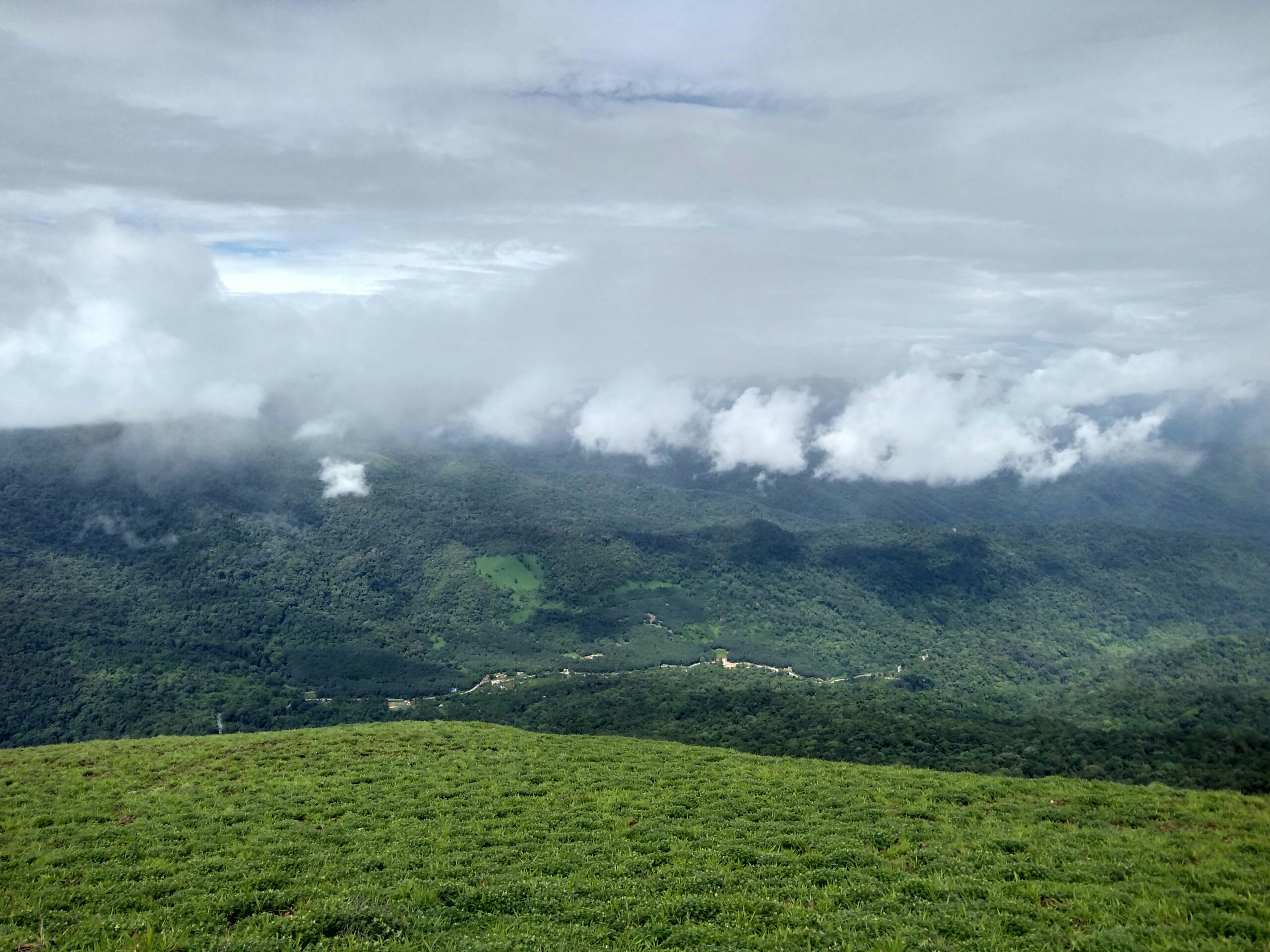 Explore Coorg in December: Travel Guide