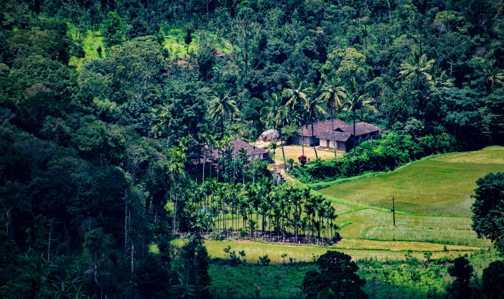 Explore Coorg in December: Travel Guide