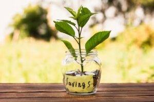 What is Green Deposit? Meaning, Features & Benefits Guide